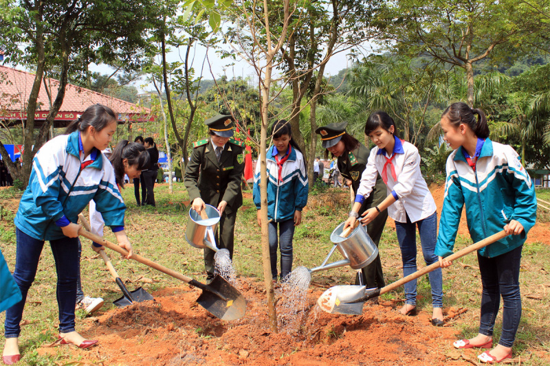 PM calls for tree growing campaign » Vietnam News - Latest Updates and ...