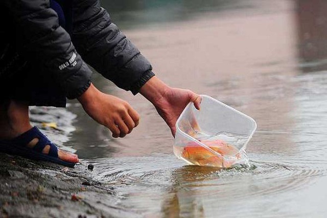 The indispensable things in the ceremony of Mr. Cong, Mr. Tao » Vietnam ...