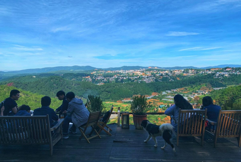 Hillside Da Lat cafe serves coffee with a vista twist » Vietnam News ...