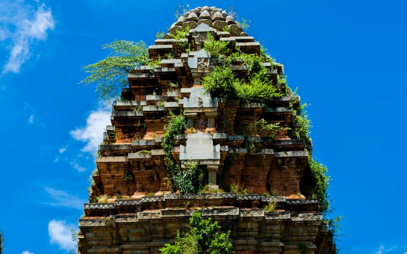Three famous Cham towers should visit in Binh Dinh » Vietnam News ...