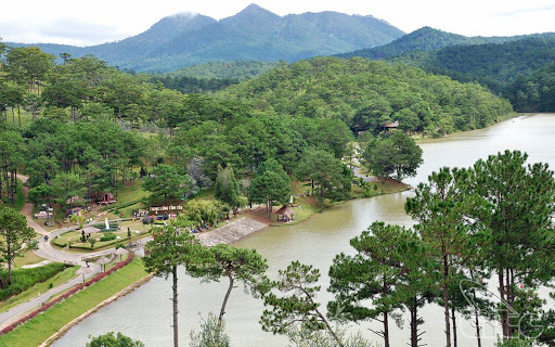 Da Lat City Where tourists can experience four seasons in a day ...