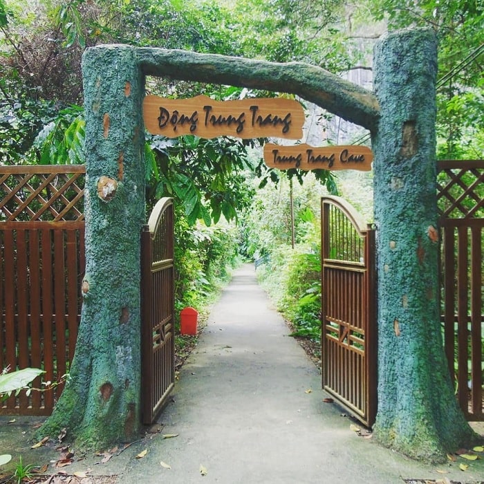 A glimpse, fanciful at Trung Trang Cat Ba cave » Vietnam News - Latest ...