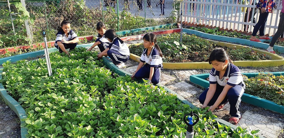 Ho Chi Minh City students learn by growing school gardens » Vietnam ...