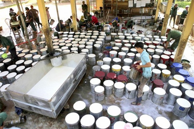Rubber industry needs to develop production chain » Vietnam News ...