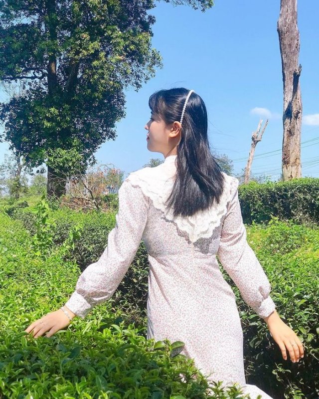 Gia Nghia tea hill in Dak Nong – the perfect background for shimmering photoshoots » Vietnam ...