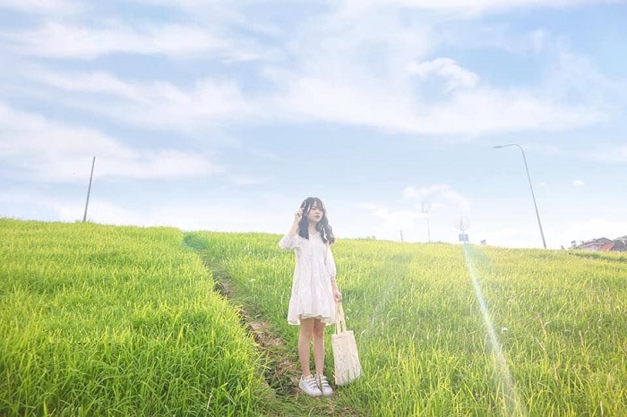 Regret all youth if you don’t check in to Ngoc Thuy Hanoi reed grass ...