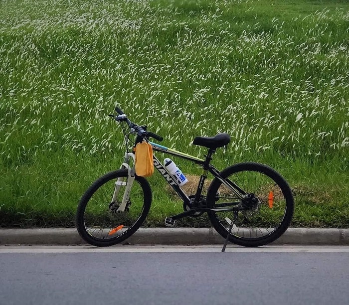 Regret all youth if you don’t check in to Ngoc Thuy Hanoi reed grass ...