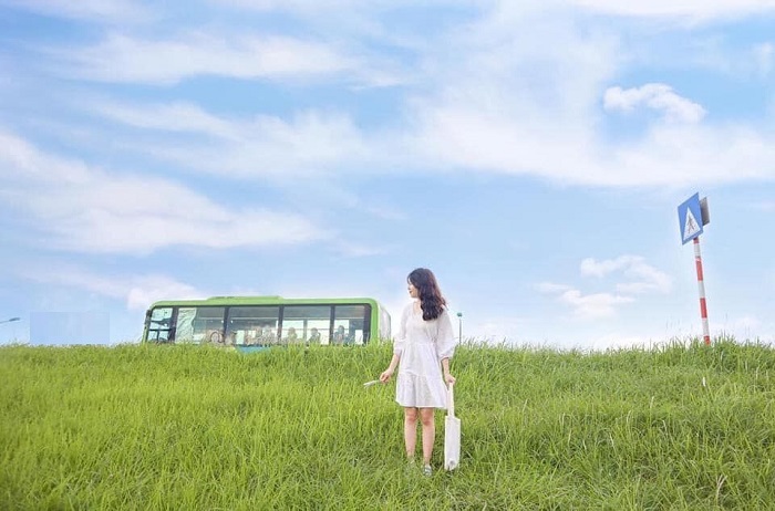 Regret all youth if you don’t check in to Ngoc Thuy Hanoi reed grass ...