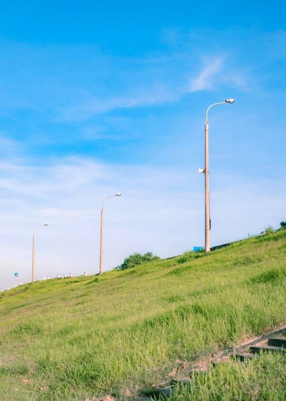 Regret all youth if you don’t check in to Ngoc Thuy Hanoi reed grass ...