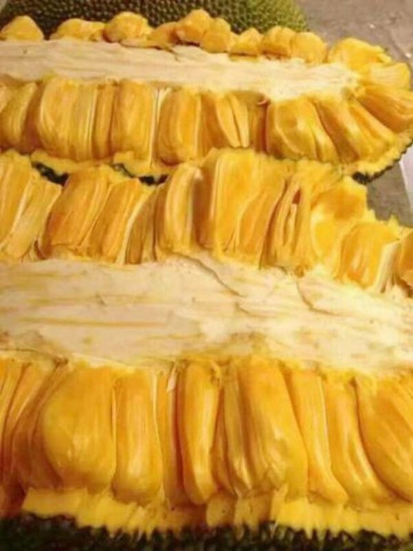Strange things that can only be found in Vietnam: Coconut shelled with ...