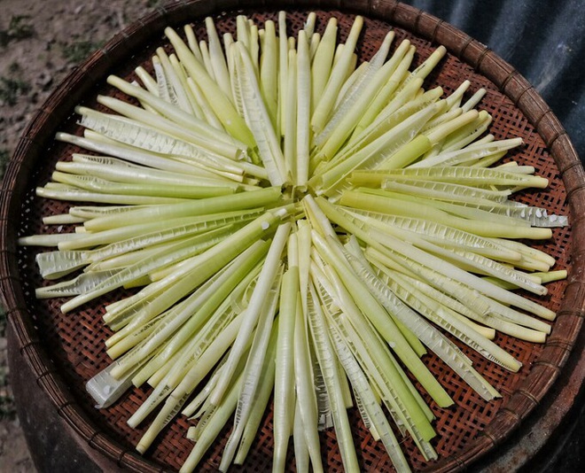 7 kinds of wild vegetables but hard to resist, only available in the ...
