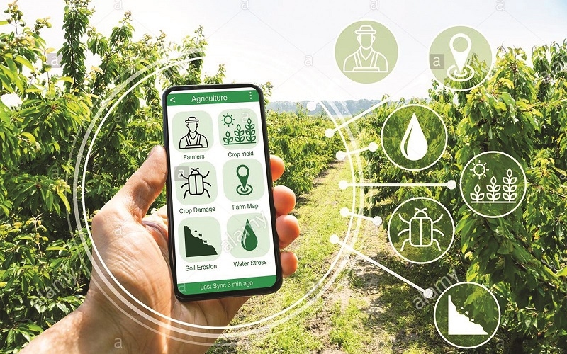 Promoting comprehensive digital transformation in agricultural sector ...