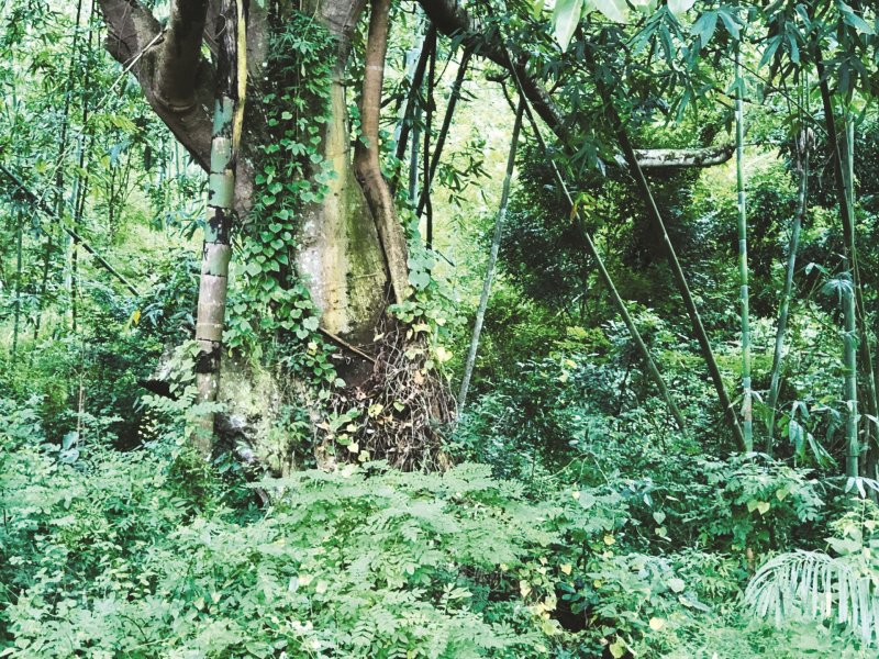 The treasure of Dong Dang Village » Vietnam News - Latest Updates and ...