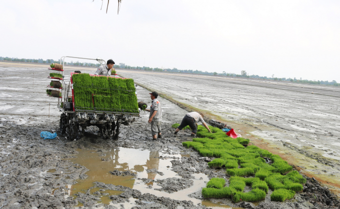 A long step in the path of improving rice farming techniques » Vietnam ...