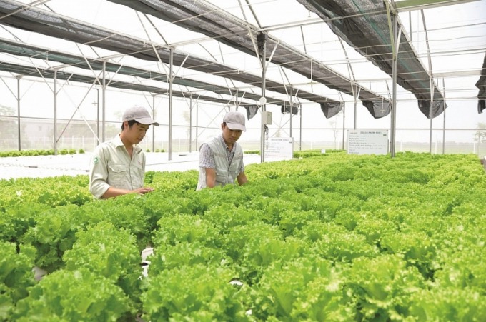 Eco-Fair sparks the flow of ‘green finance’ » Vietnam News - Latest ...