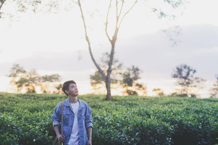 Discover the famous Bau Can tea hill with hundreds of years of ancient ...