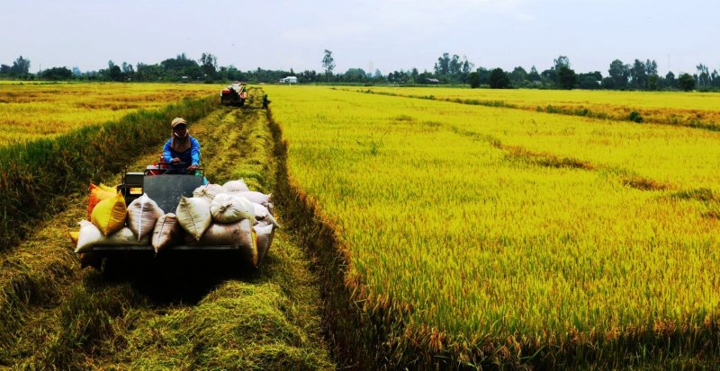 Transport infrastructure development key to Mekong Delta growth ...