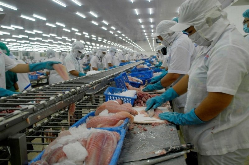Tra fish exports surge, reflecting post-pandemic recovery » Vietnam ...