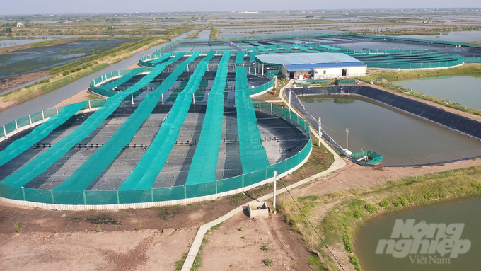 Maximum mechanization application for aquaculture » Vietnam News ...