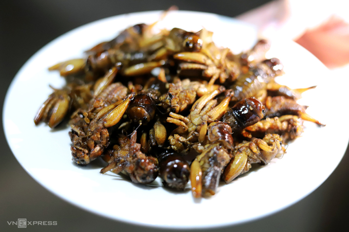 Cricket hunting season » Vietnam News - Latest Updates and World ...