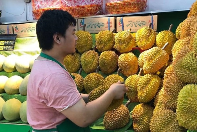 Vietnamese durian fever in China » Vietnam News - Latest Updates and ...