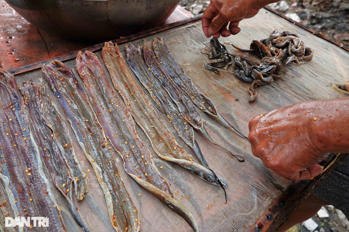 Processing half a ton of snakes per day in the floating season, drying ...