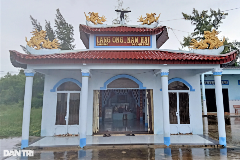 Admire the skin of the largest shark in Vietnam in Ganh Hao – Bac Lieu ...