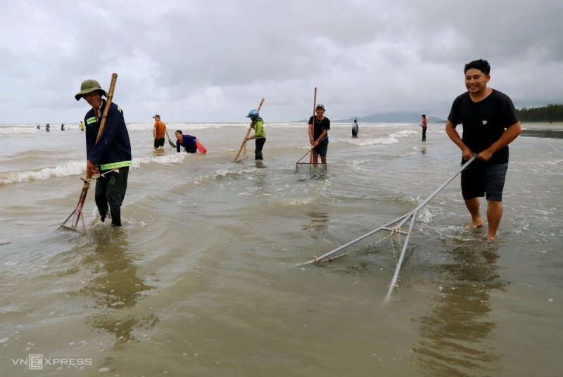 Rushing to the sea to pick up shells » Vietnam News - Latest Updates ...