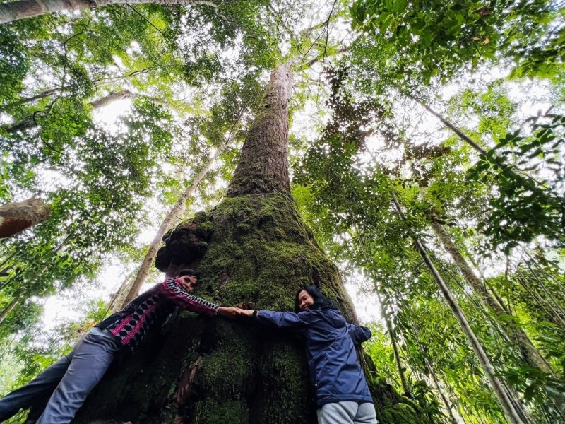 The thousand-year-old ‘Kingdom’ of Po mu on the Truong Son mountain ...