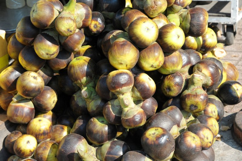 The wild fruits filled with the childhood of Westerners » Vietnam News ...