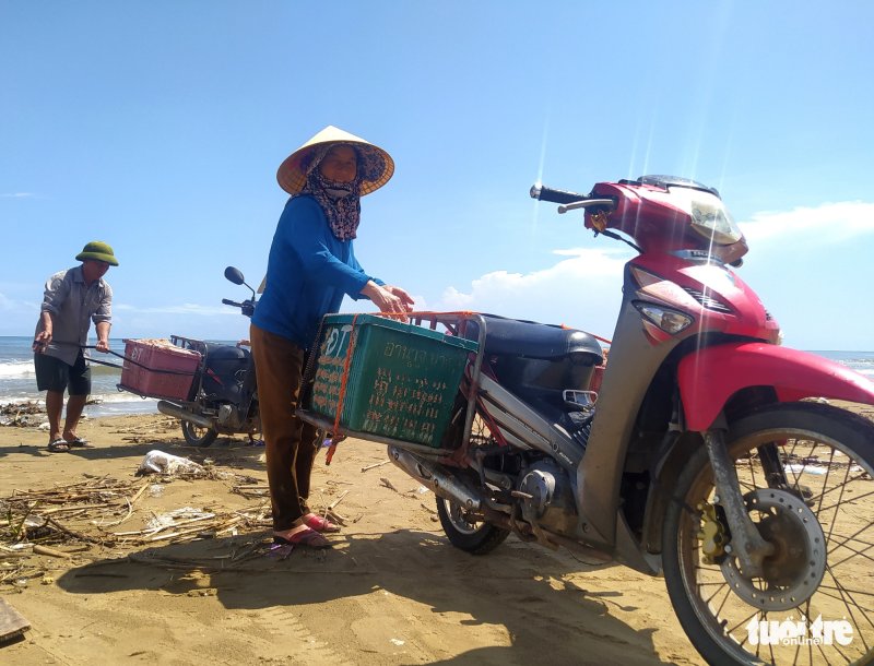 Winning sea shrimp, people earn millions every day » Vietnam News ...