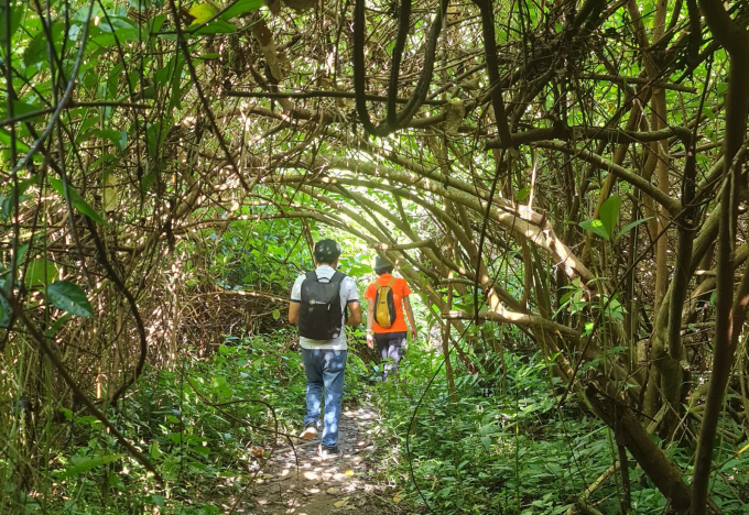 100 USD for two full days of activities in Cat Ba » Vietnam News ...