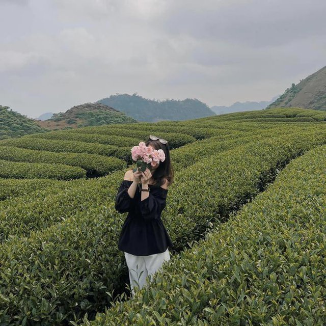 2 days 1-night schedule to see canola flowers and explore Moc Chau ...