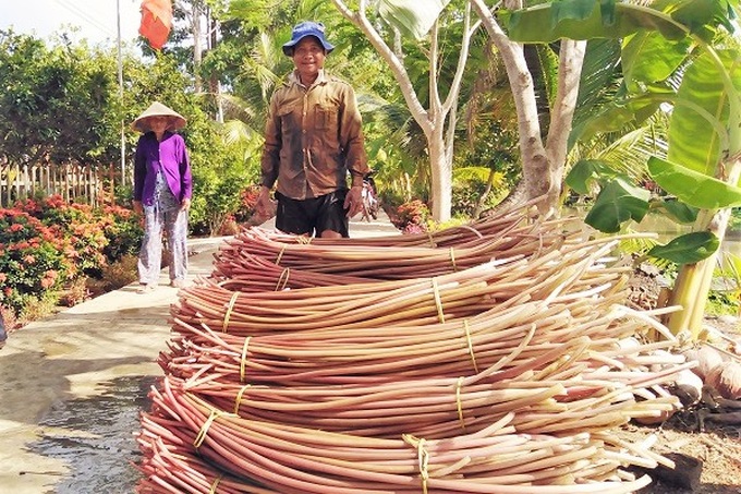 Digging ditches in the garden to grow water lily crops to make ...