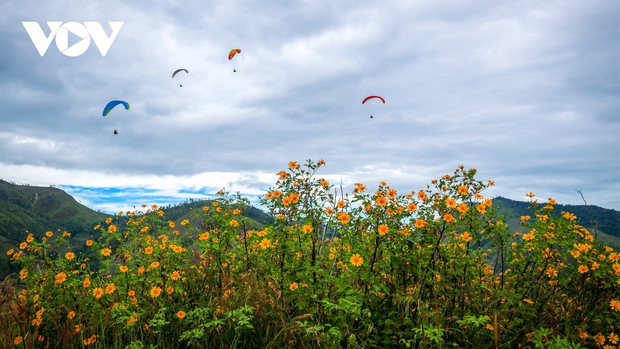Experience flying over the crater of the Chu Dang Ya volcano » Vietnam ...