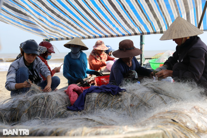 Hand-picked high-class specialties, fishermen make thousands of dollars ...