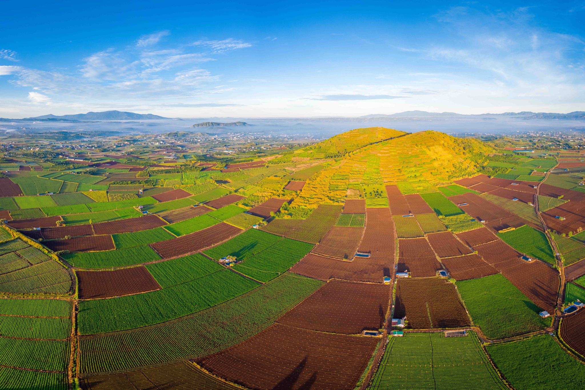 ‘Terraces’ of wild sunflowers dyed yellow by R’Chai volcano » Vietnam ...