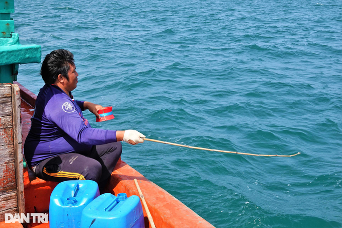 The secret to hunting unique and strange squid is which squid sticks to ...