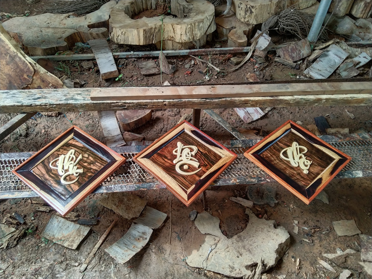 9x made rotten pieces of wood “live” again, with a year of collecting ...