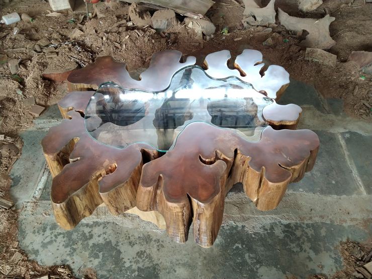 9x made rotten pieces of wood “live” again, with a year of collecting ...