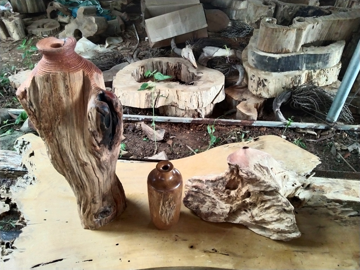 9x made rotten pieces of wood “live” again, with a year of collecting ...