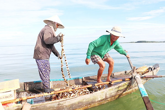 Use seashells to chase the specialty fish of Tri An lake bed » Vietnam ...