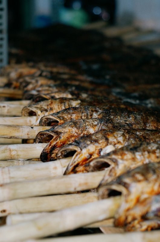The largest grilled snakehead fish oven in Ho Chi Minh City “red on ...