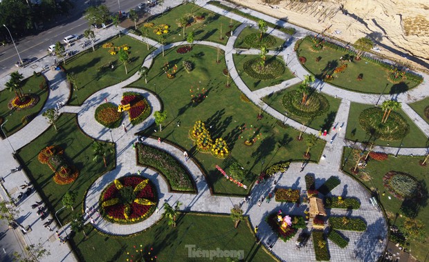 Young people in Da Nang are busy checking in to the spring flower ...