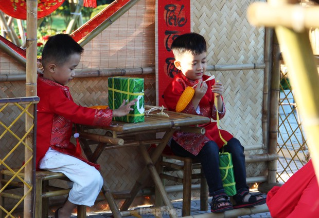 Young people in Da Nang are busy checking in to the spring flower ...