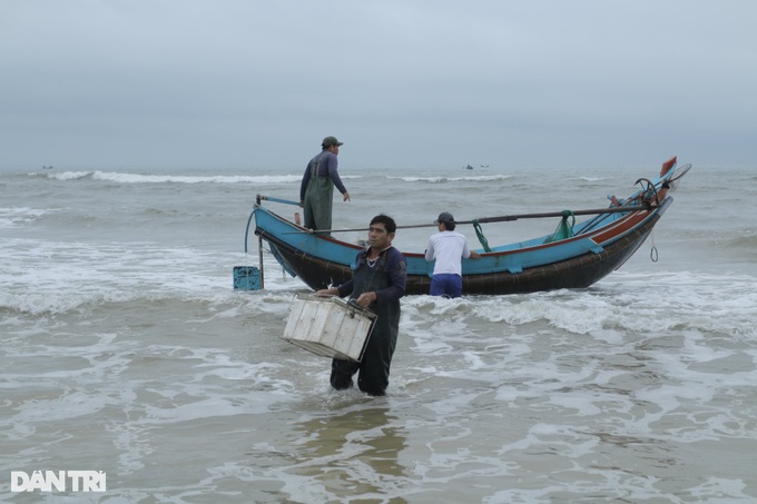 Earn tens of millions of dong per sea trip thanks to soft fish like ...