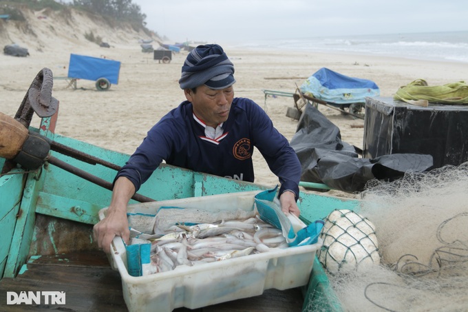 Earn tens of millions of dong per sea trip thanks to soft fish like ...