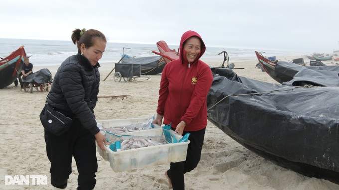 Earn tens of millions of dong per sea trip thanks to soft fish like ...