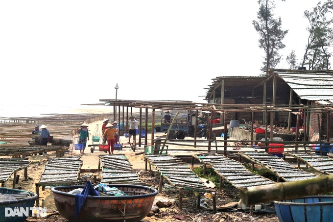 Red season at the steaming fish village » Vietnam News - Latest Updates ...