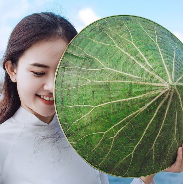 Lotus leaf conical hat - The traditional pure beauty of Hue » Vietnam ...